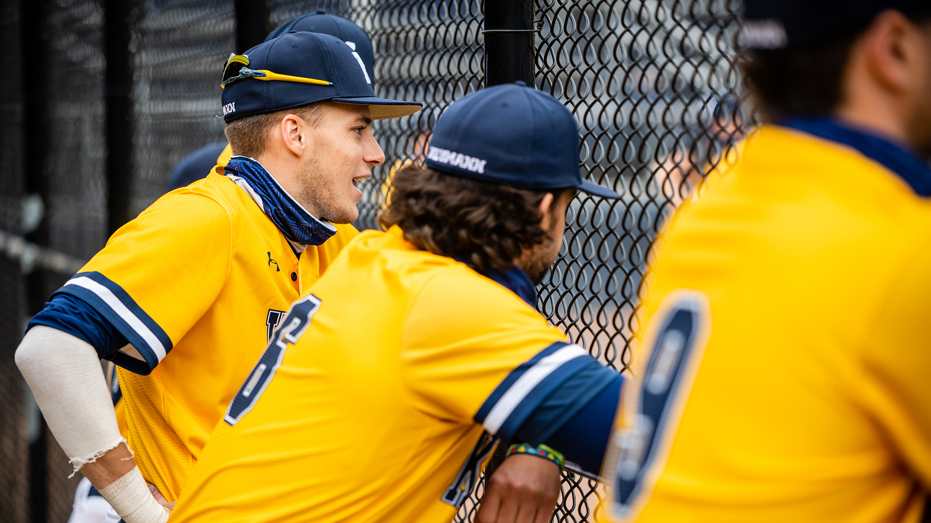 Jake Urena - 2020 - Baseball - Neumann University Athletics