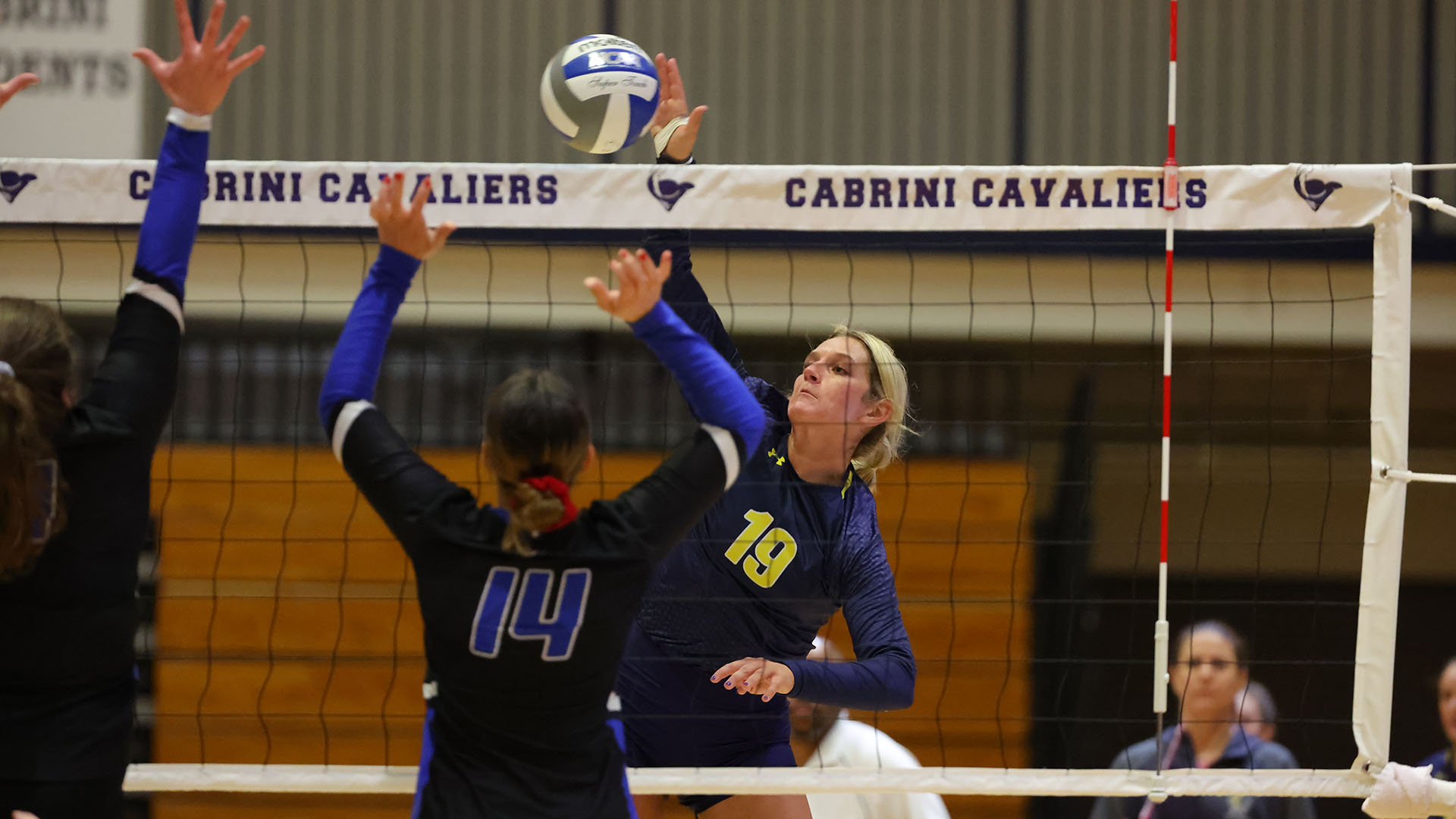 Knights Split in Virginia - Neumann University Athletics
