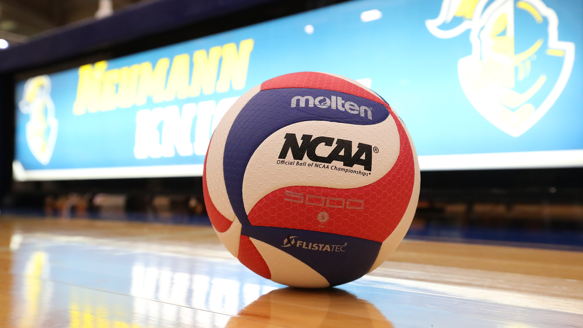 Joe Saxton - 2022 - Men's Volleyball - Neumann University Athletics