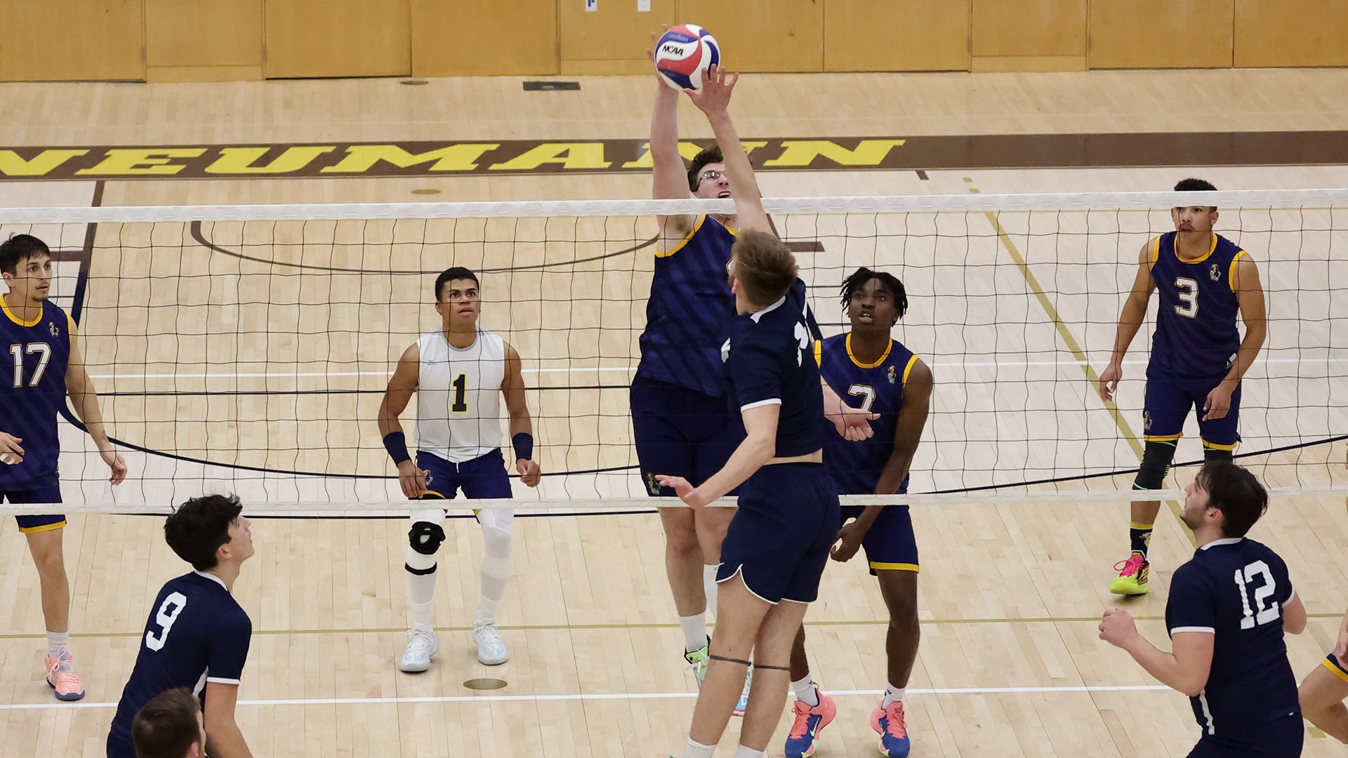Dan Barckholtz - 2024 - Men's Volleyball - Neumann University Athletics