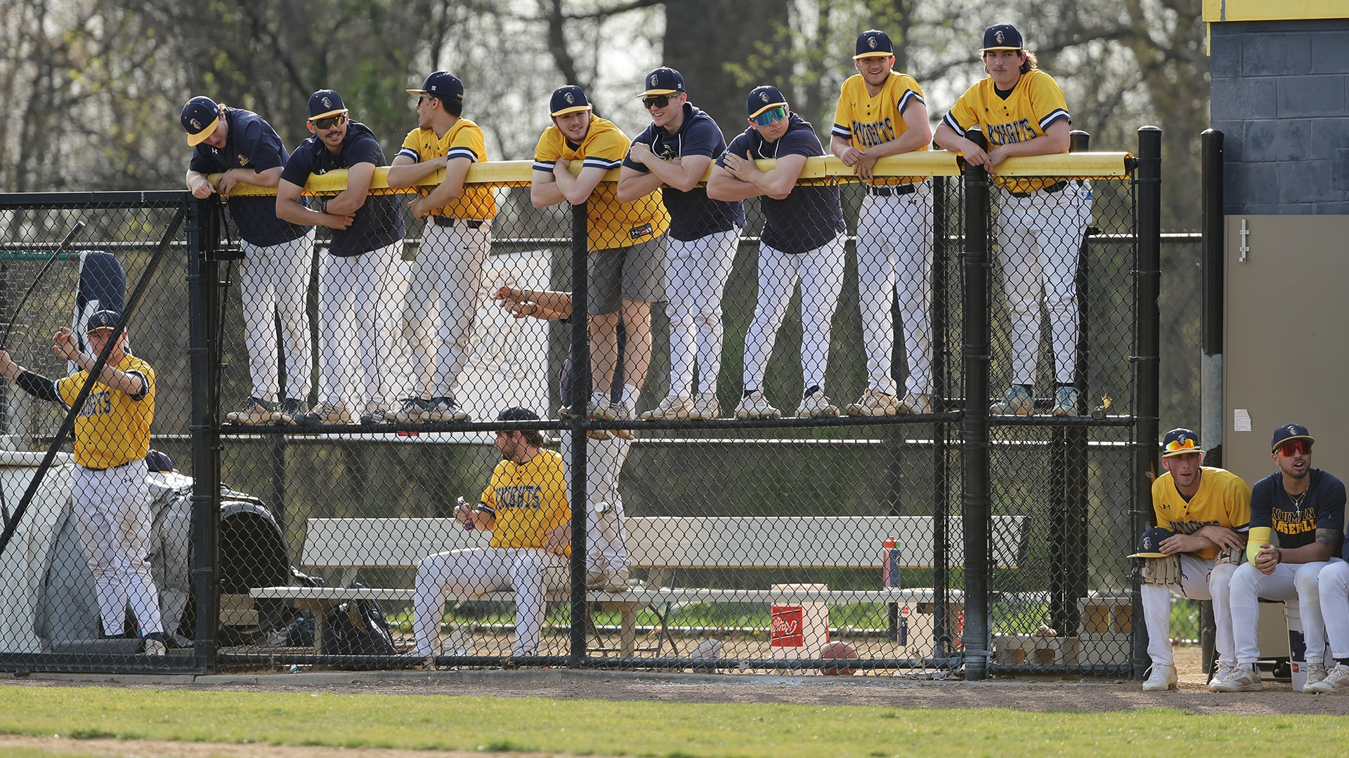 Andrew Curran - 2024 - Baseball - Neumann University Athletics