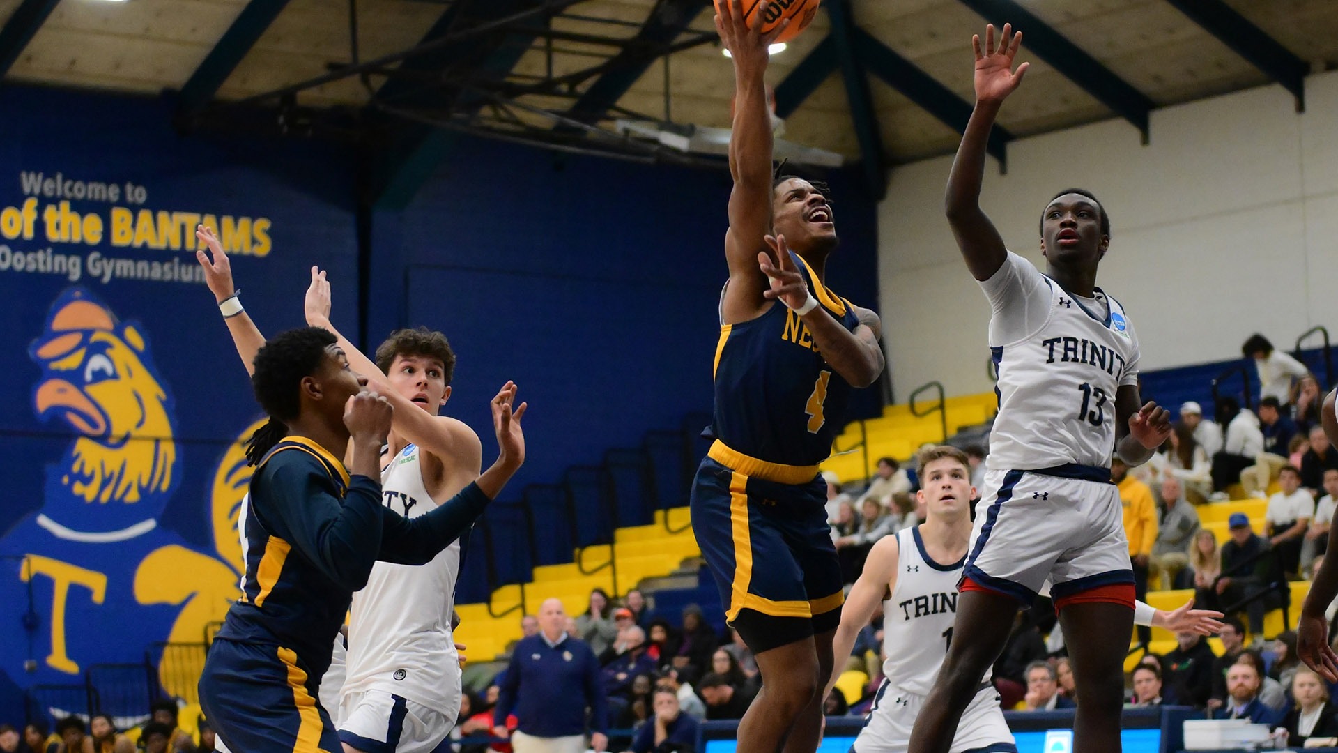 Men’s Basketball to Host Atlantic East Championship - Neumann ...
