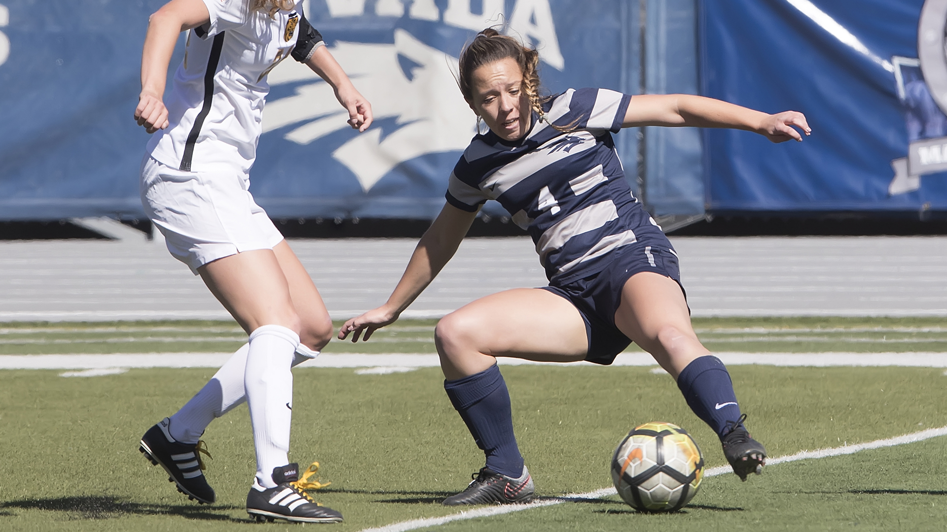 Aubrie Ciesynski - Women's Soccer - University of Nevada Athletics