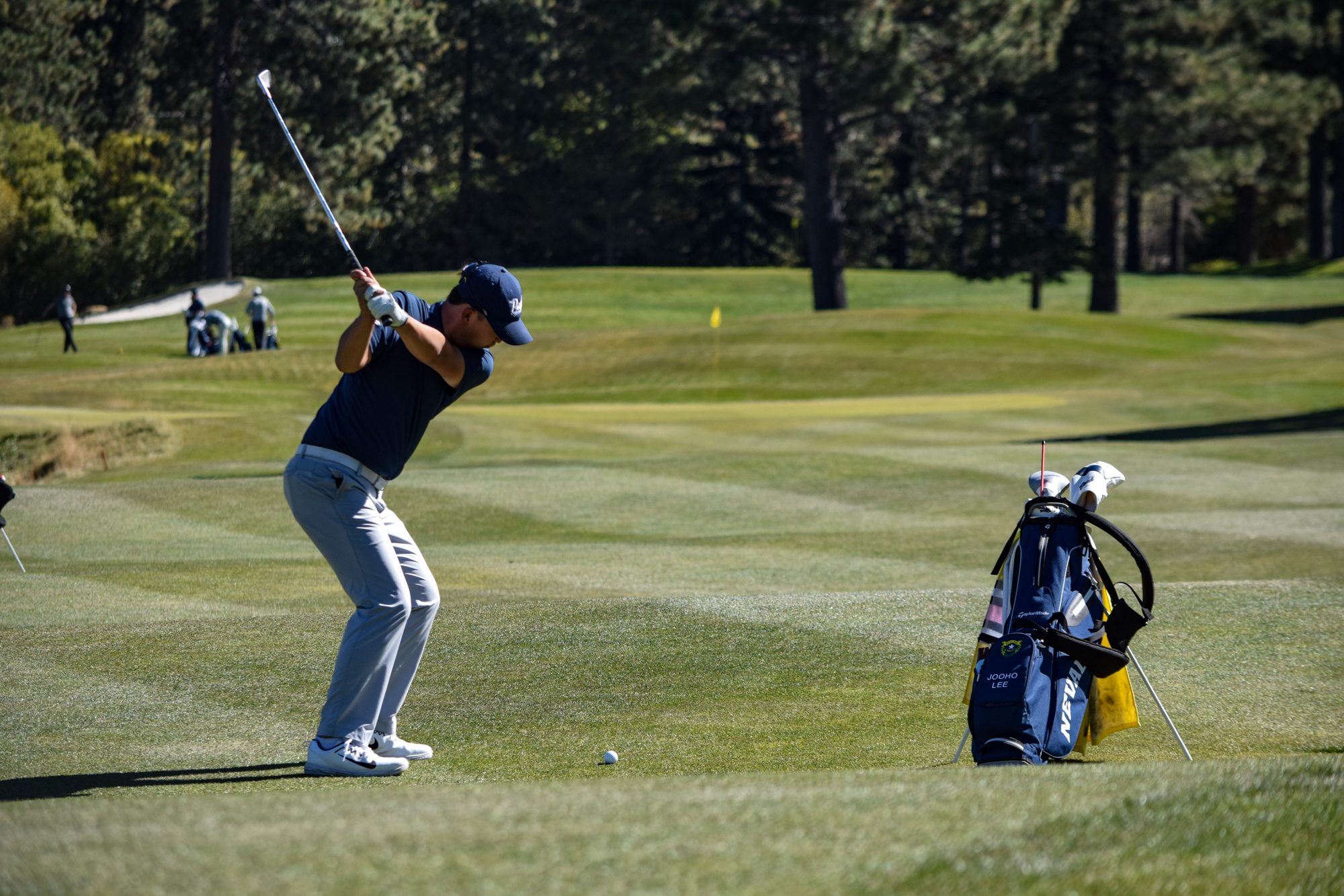 Jooho Lee - Men's Golf - University of Nevada Athletics