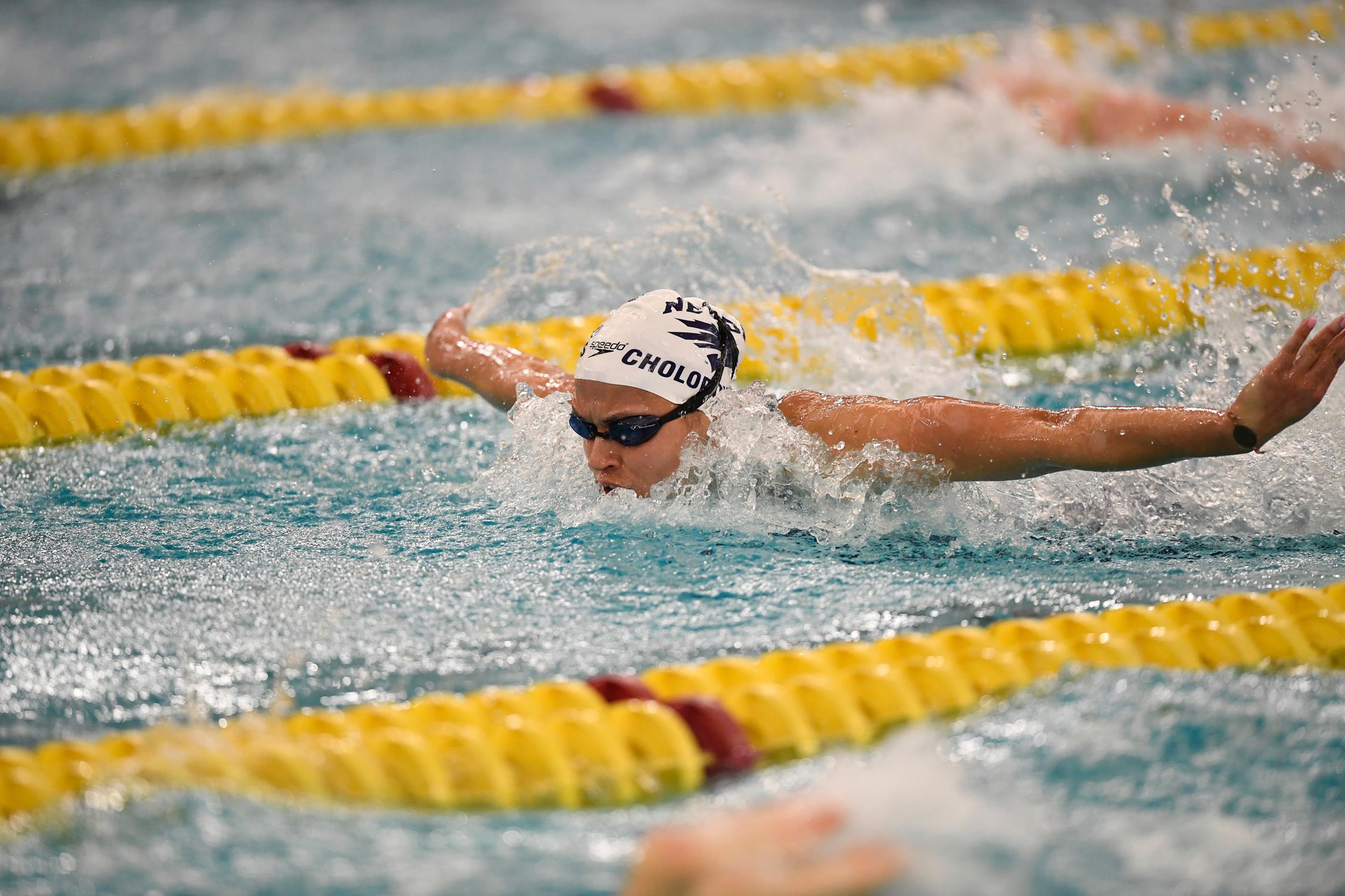 Andressa Cholodovskis - Women's Swimming & Diving - University of ...