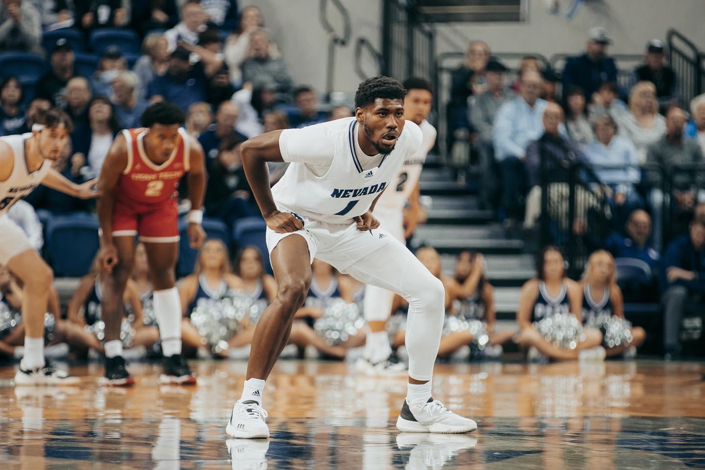 Tyler Powell - Men's Basketball - University of Nevada Athletics