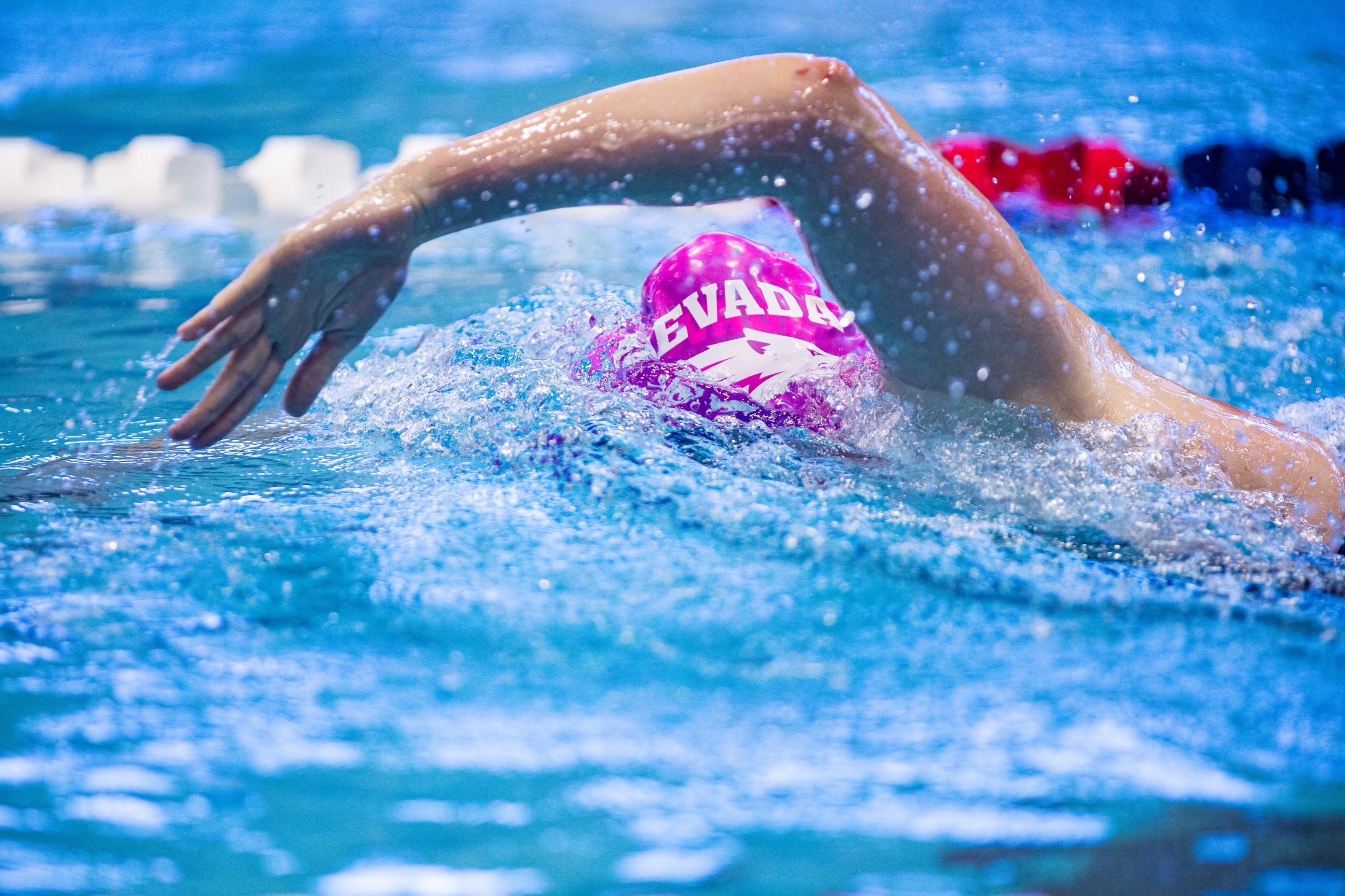 Nevada Swim and Dive Secures Win over Fresno State, Extends All-Time ...