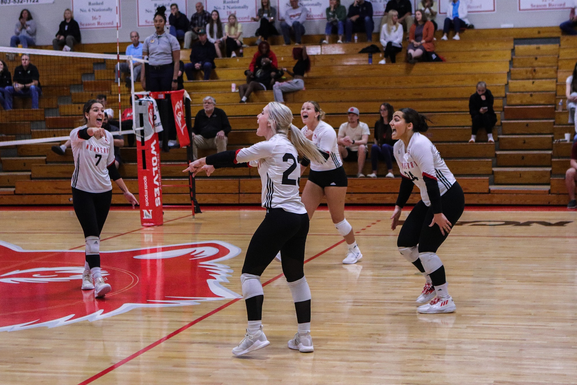 Wolves Volleyball Sweep Valkyries for Pink Out - Newberry College Athletics