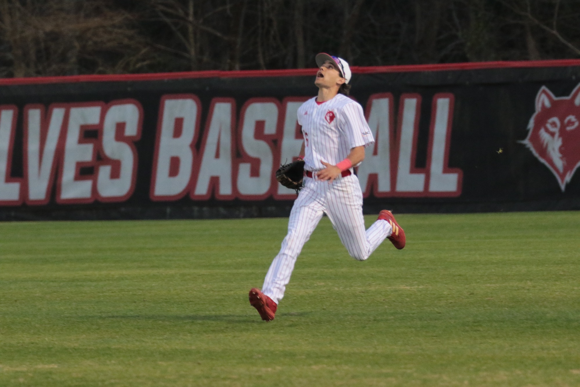 Wolves Take Home 20-17 Win In Marathon Against Anderson - Newberry ...