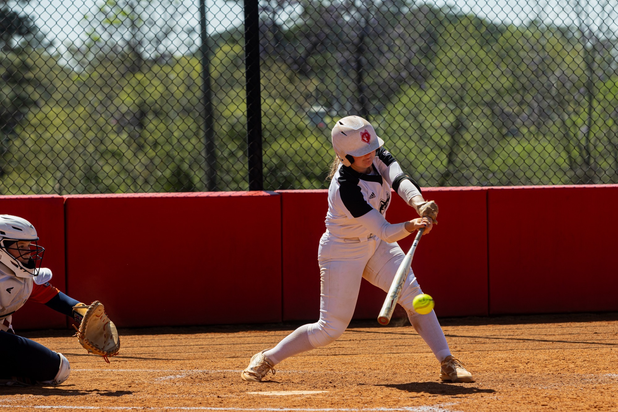 The Wolves Fall on the Road in SAC Double Header to the Bears ...