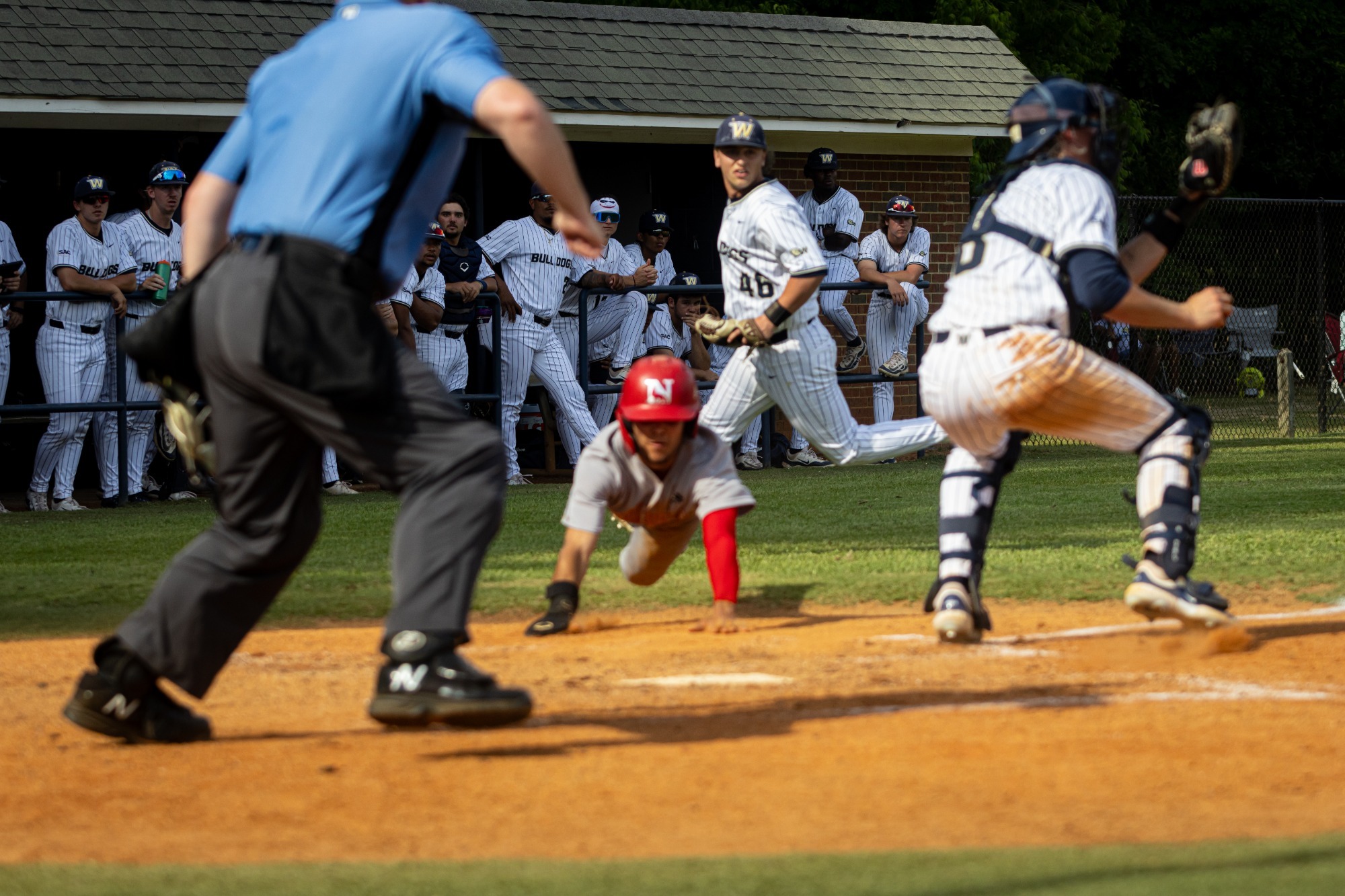 Jacob LeBron - Baseball - Newberry College Athletics
