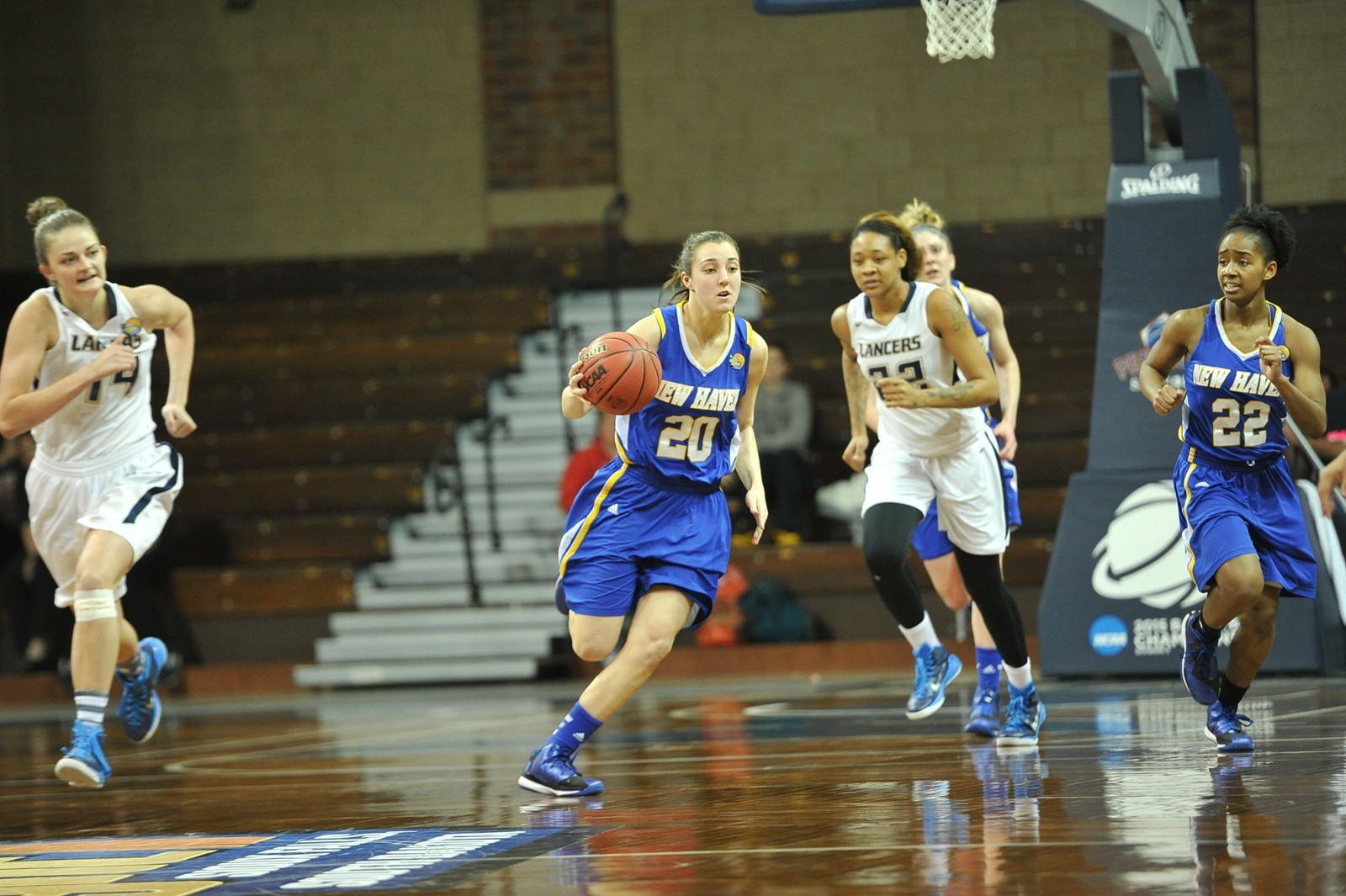 Lauren Hebert - Women's Basketball - University of New Haven Athletics