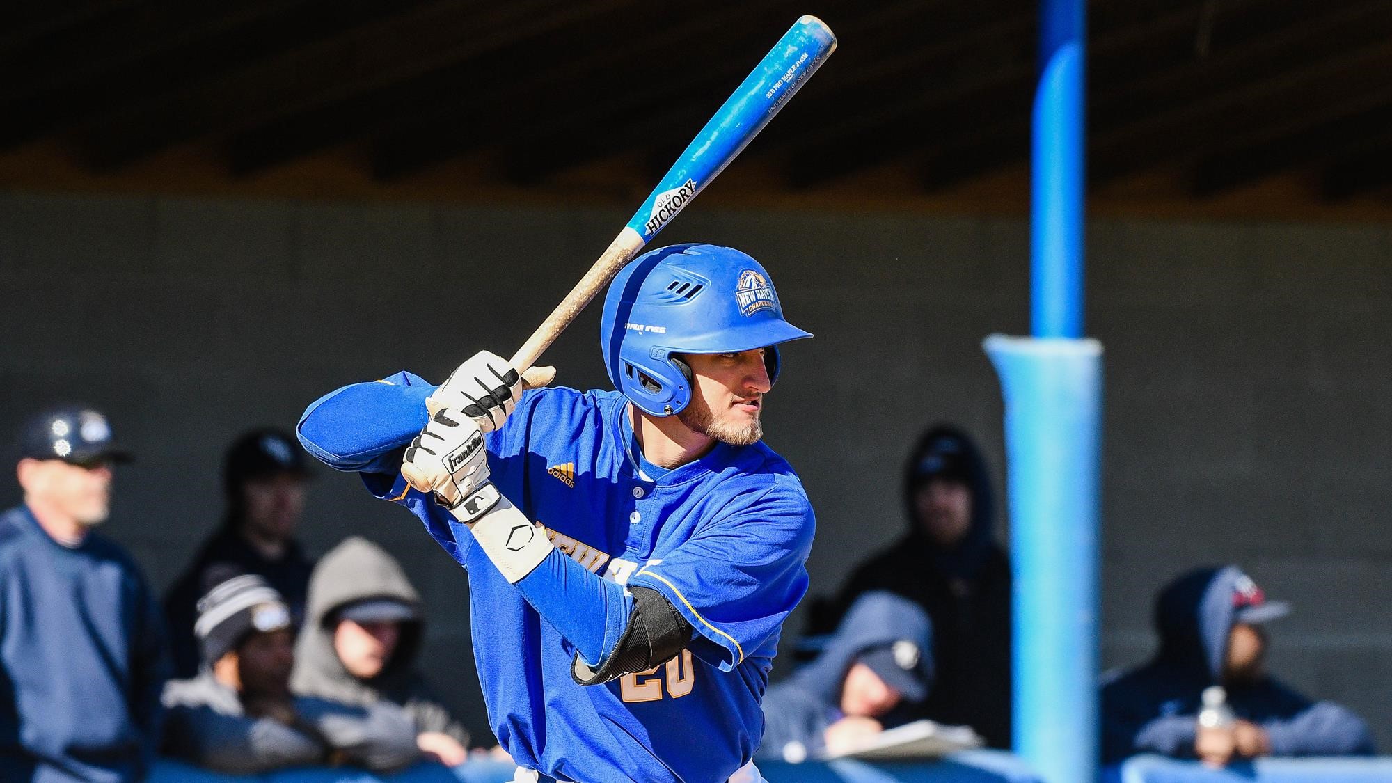 George Pappas - Baseball - University of New Haven Athletics