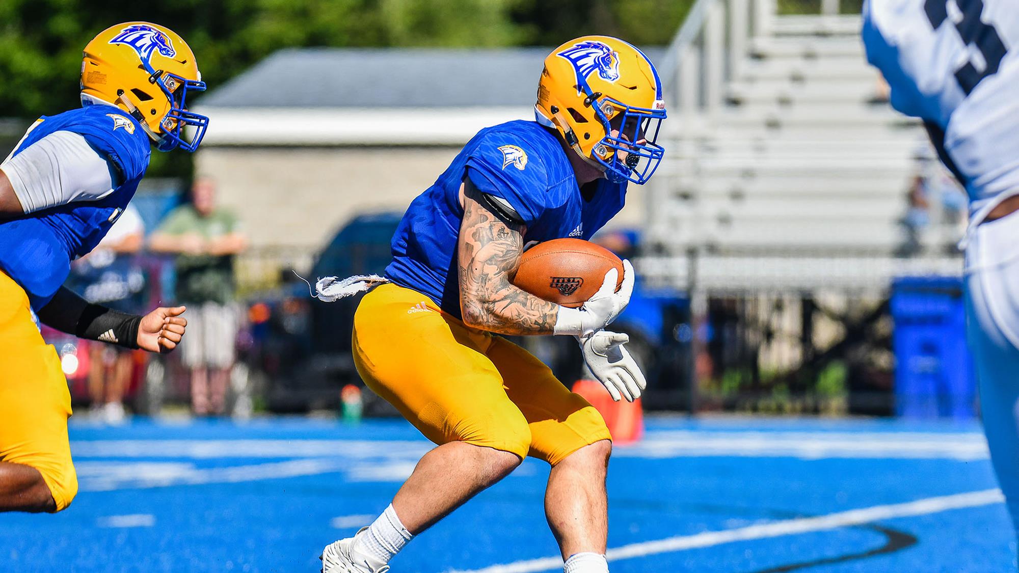 Chris Liggio - Football - University of New Haven Athletics