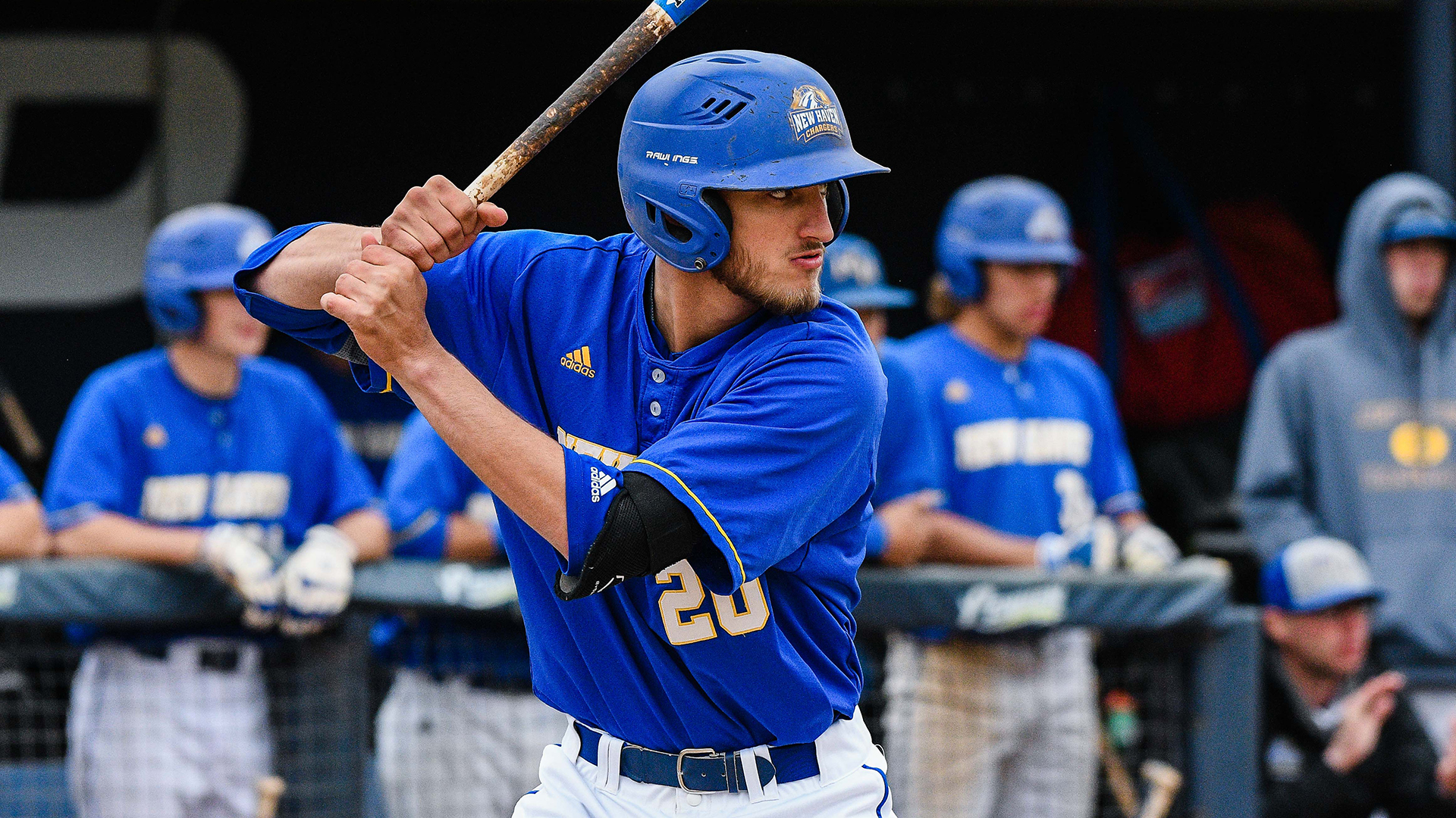George Pappas - Baseball - University of New Haven Athletics