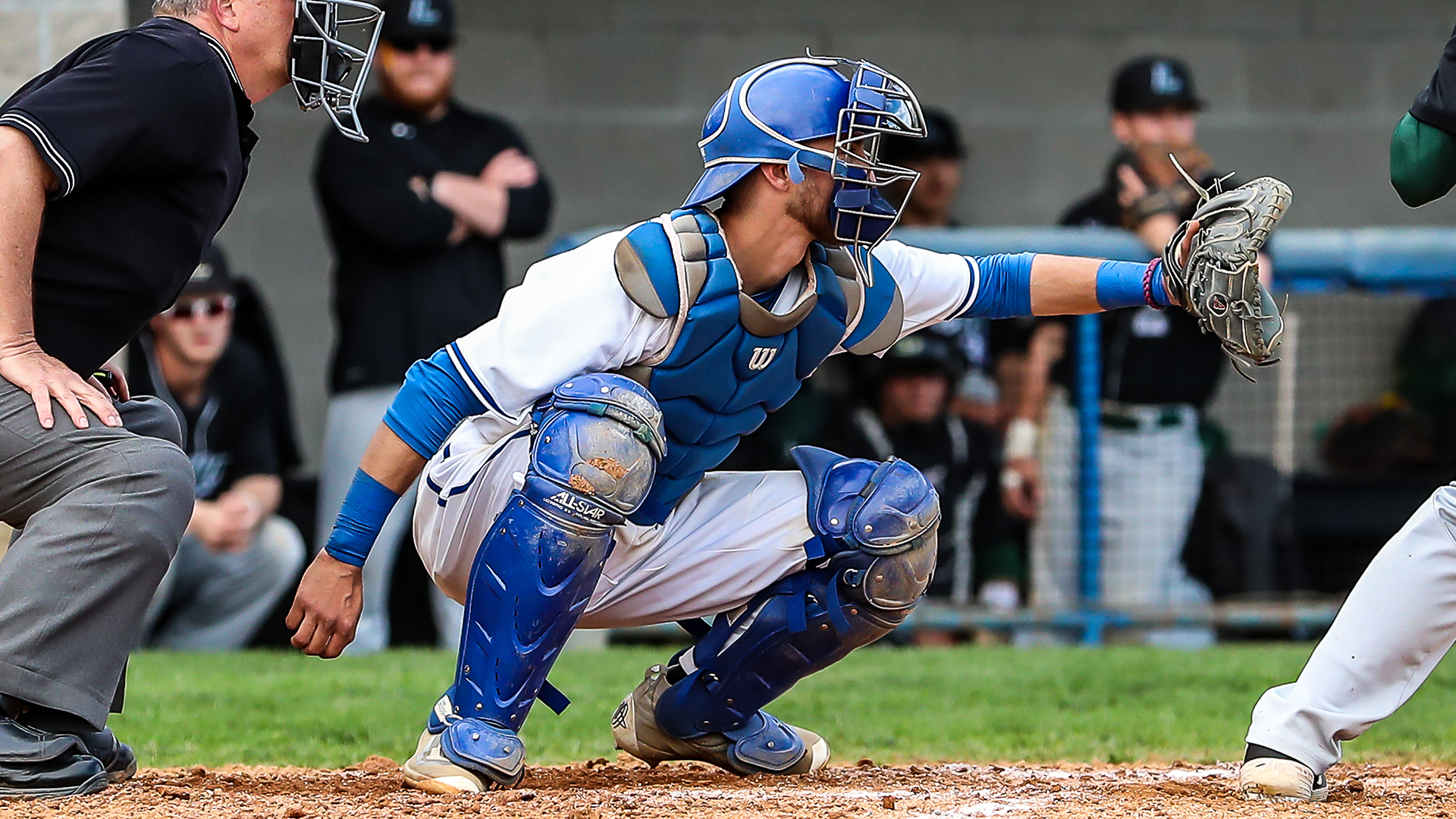 George Pappas - Baseball - University of New Haven Athletics