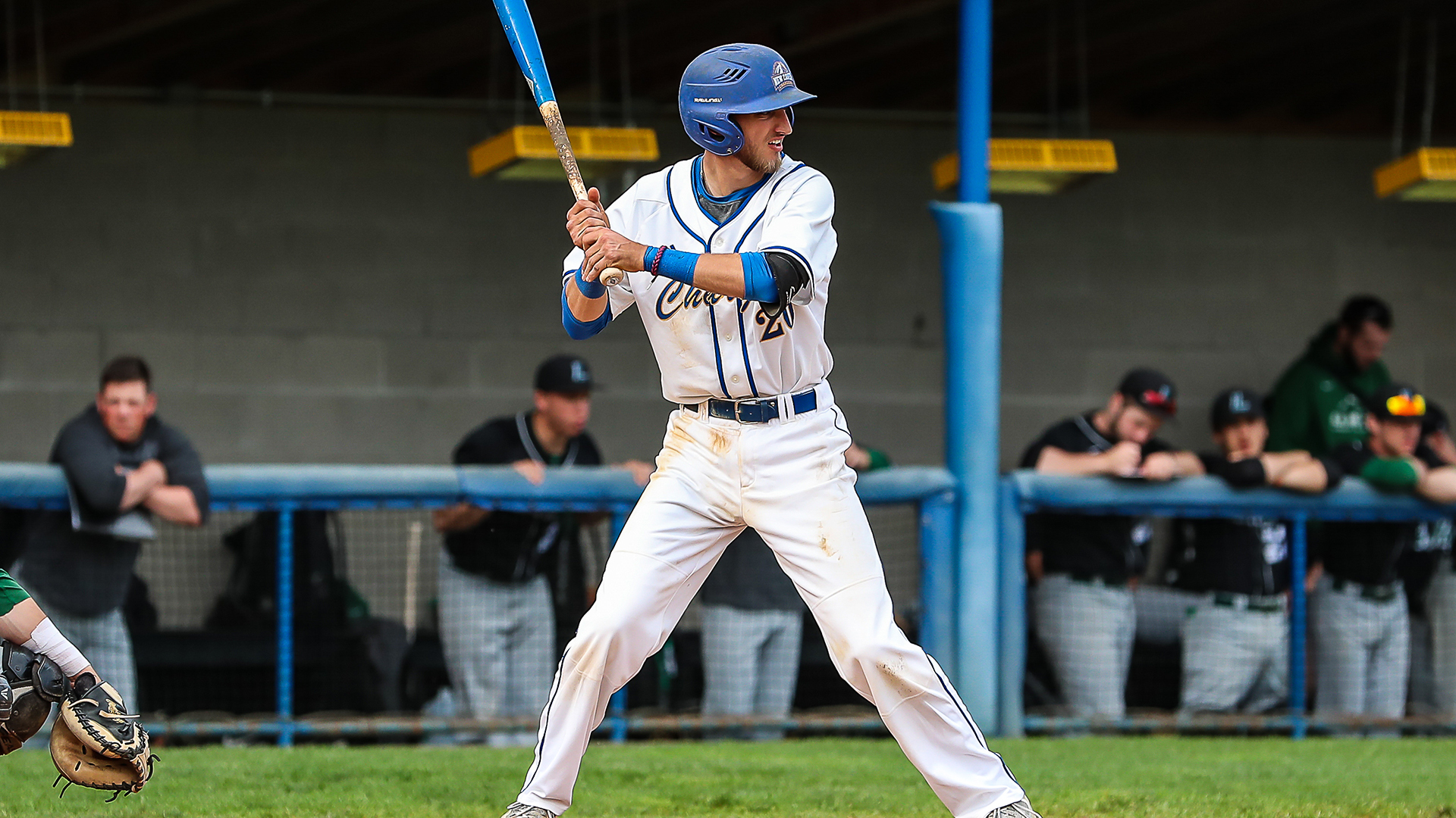 George Pappas - Baseball - University of New Haven Athletics