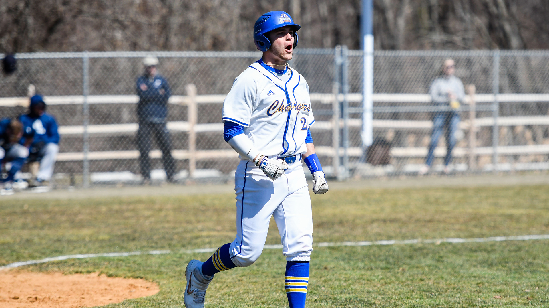 Noah Fortuna - Baseball - University of New Haven Athletics