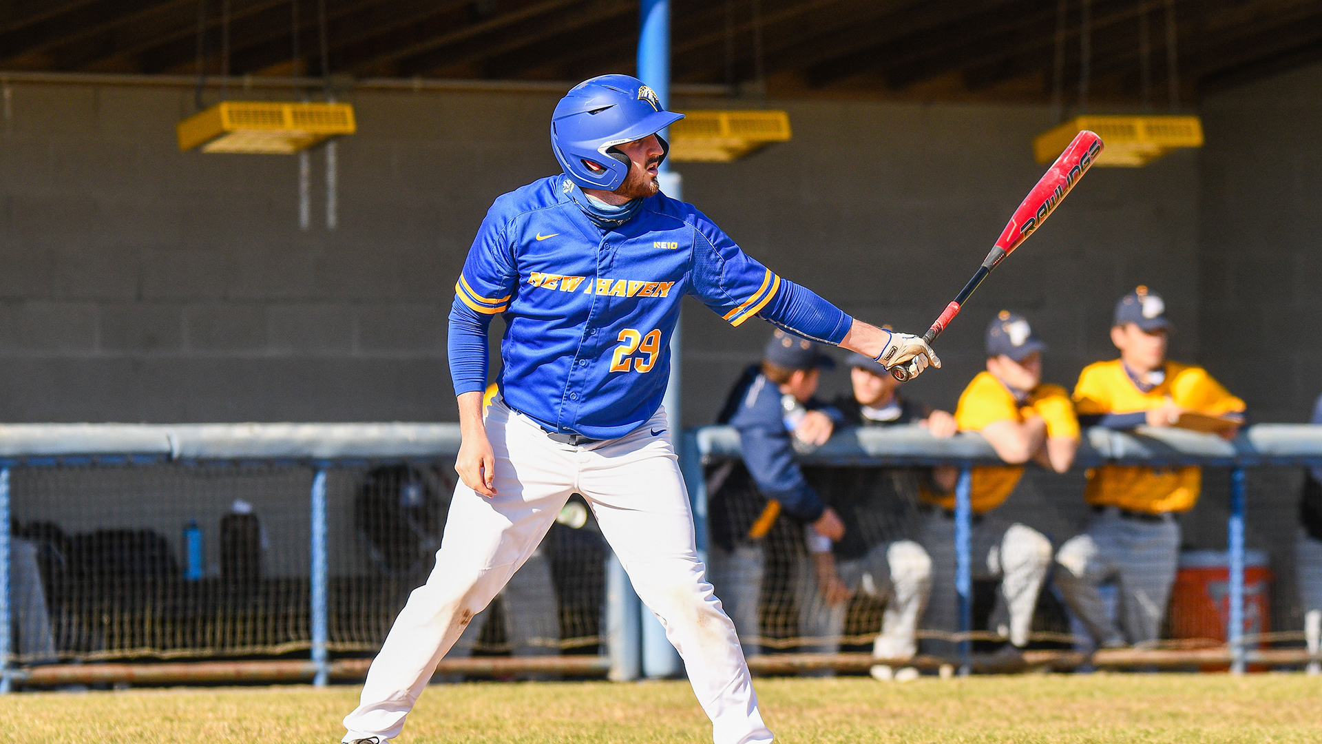 Hunter Boag - Baseball - University of New Haven Athletics