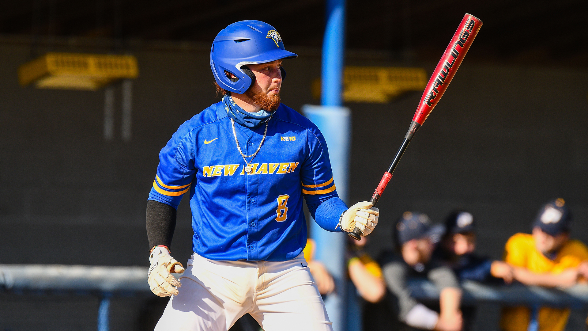 Josh Lester - Baseball - University of New Haven Athletics