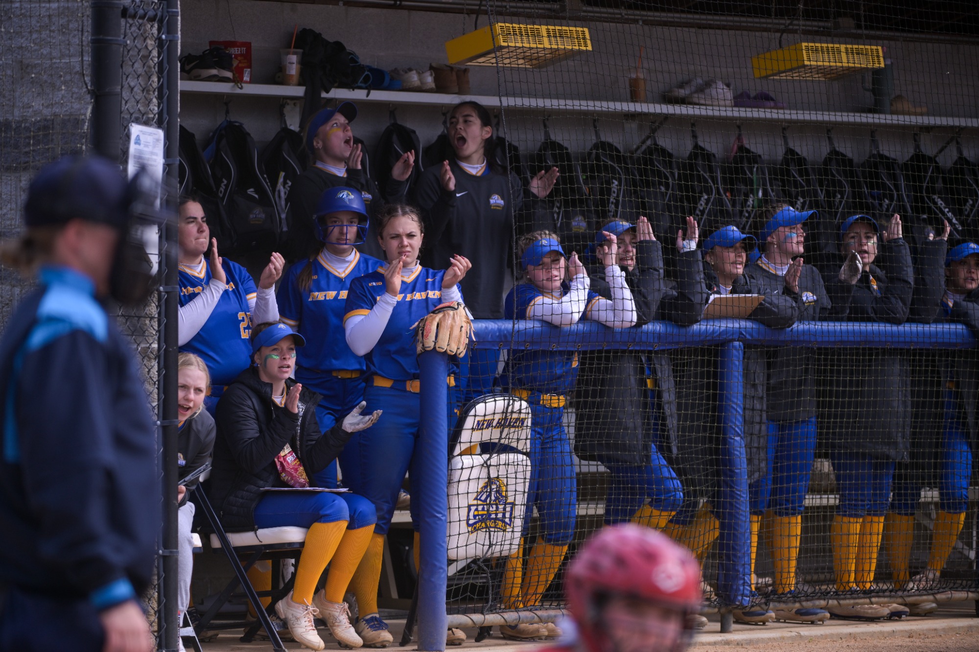 Chargers Fall to Panthers in Regular Season Home Finale - University of ...