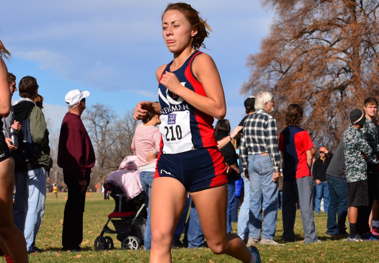 Rubi Torres - Women's Cross Country - Newman University Athletics