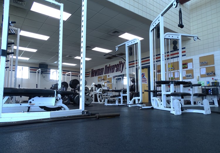 Palmer Named To Lead New Jet Strength Program - Newman University Athletics