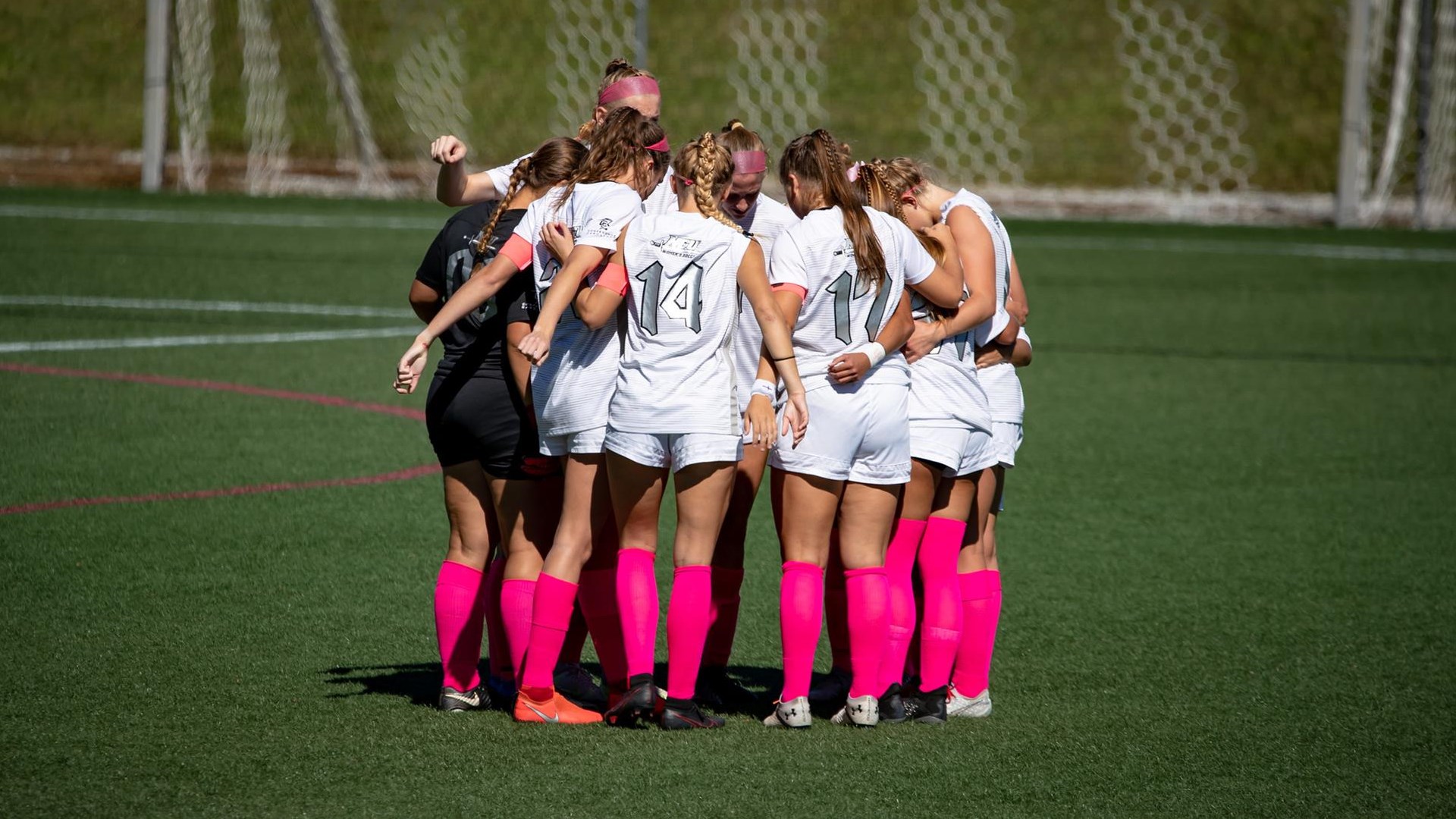 NGU Falls to UNC Pembroke in Semifinals - North Greenville University