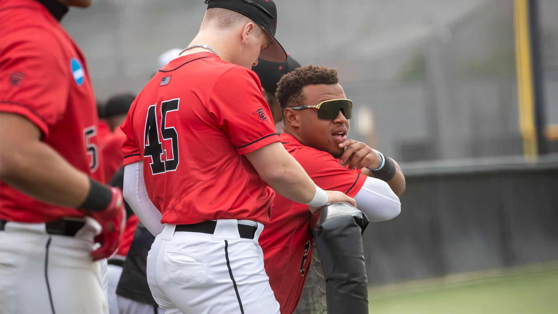 North Greenville Completes Sweep of USC Beaufort - North Greenville ...