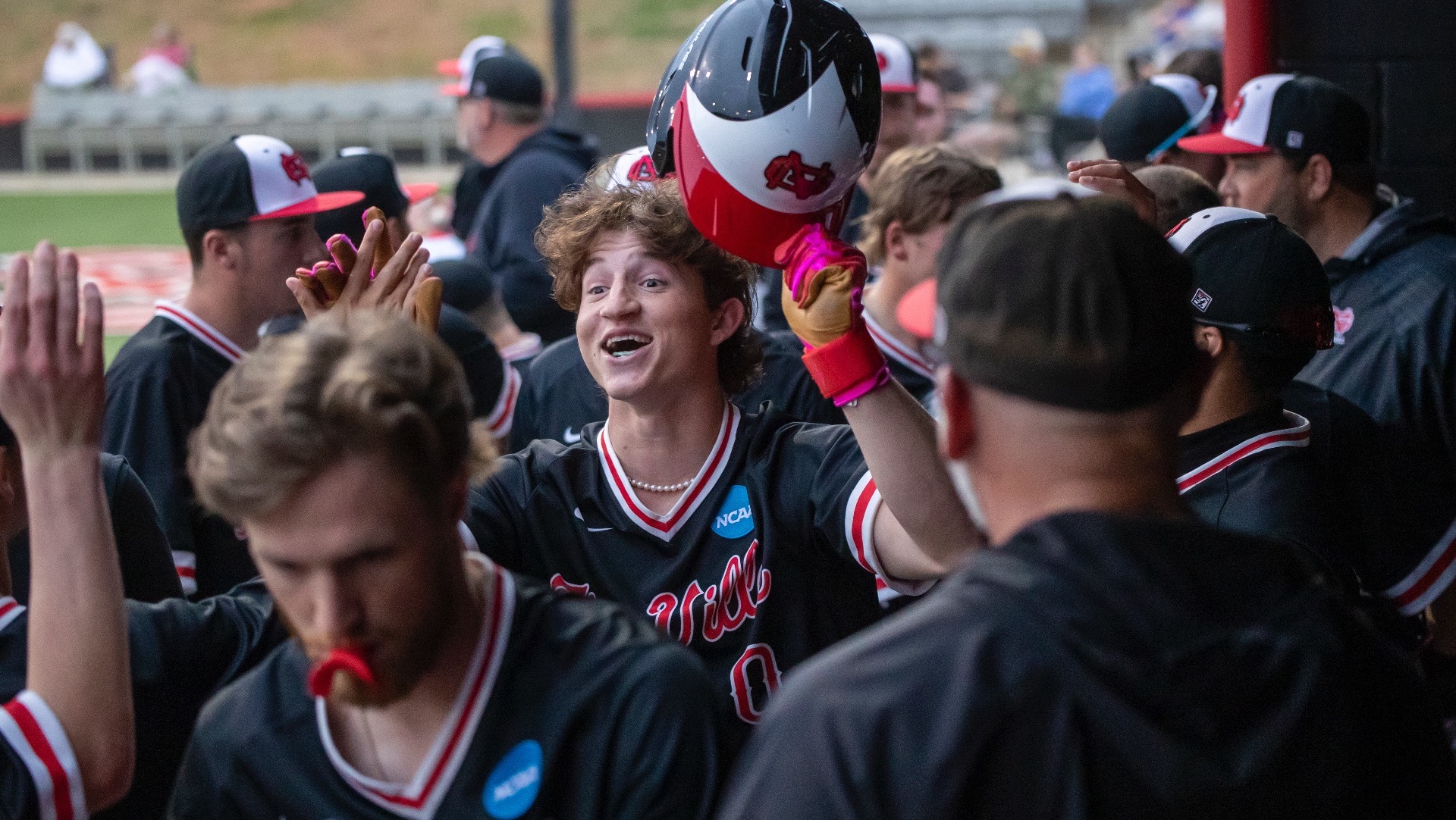 Kaleb Hall - 2024 - Baseball - North Greenville University