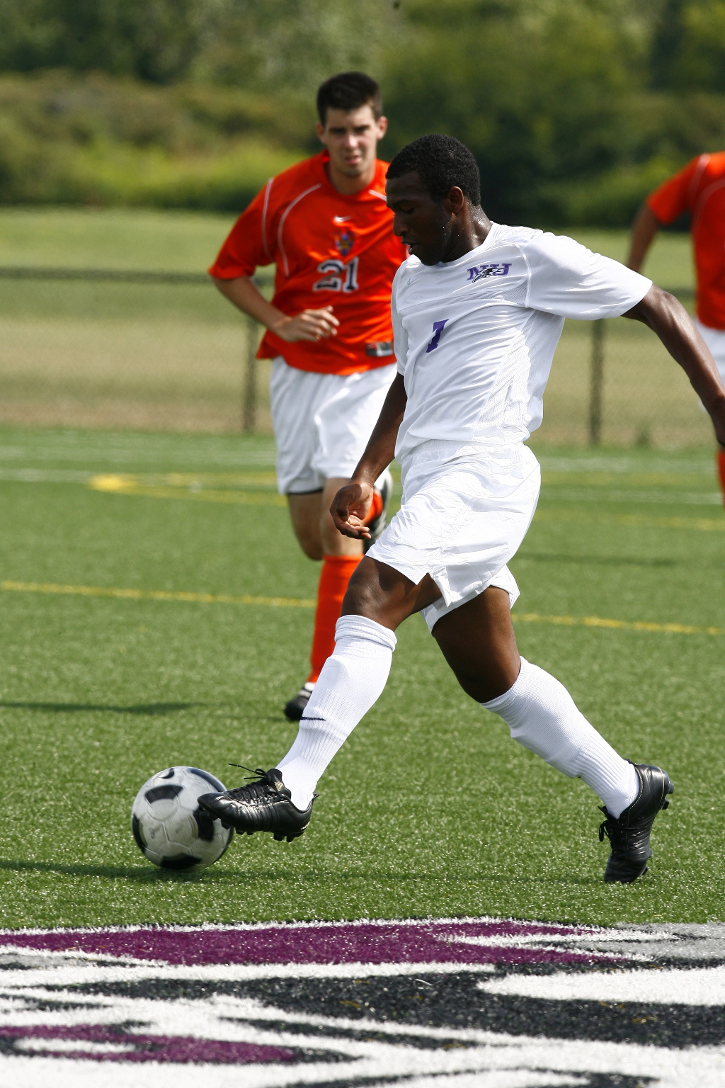 Matt Akindipe - 2013-14 - Men's Soccer - Niagara University Athletics