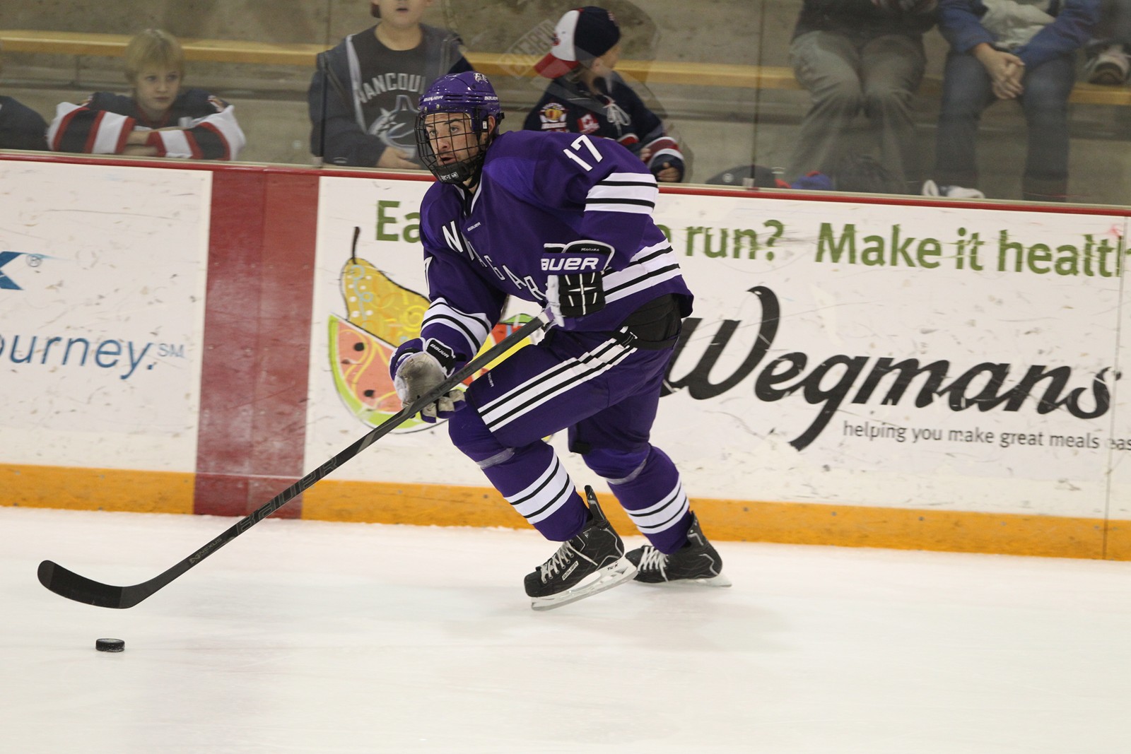 Chris Lochner - 2014-15 - Men's Ice Hockey - Niagara University Athletics