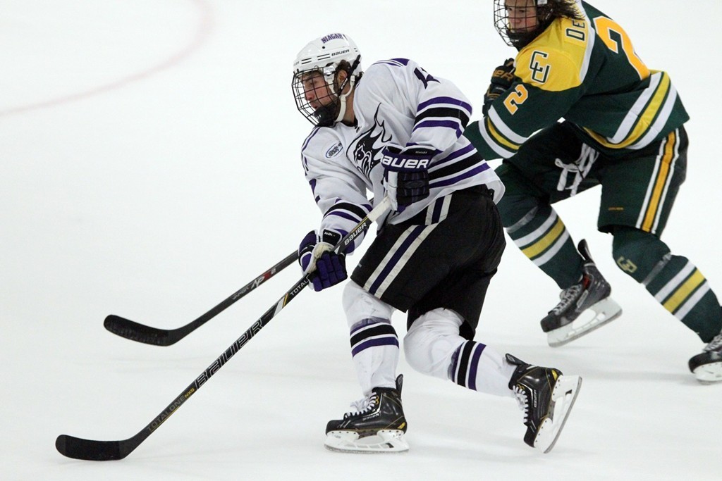 Sam Alfieri - 2014-15 - Men's Ice Hockey - Niagara University Athletics