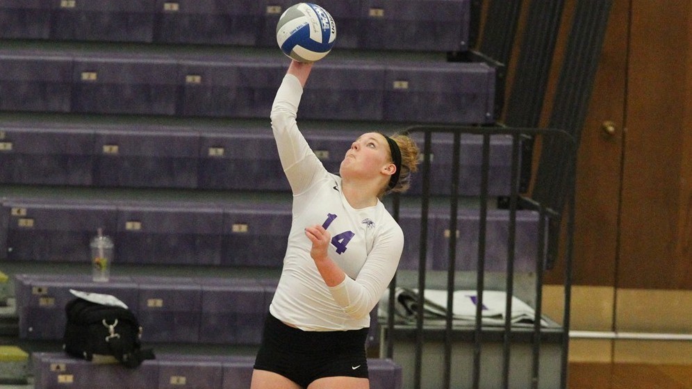 Chelsea Watson - 2013 - Women's Volleyball - Niagara University Athletics