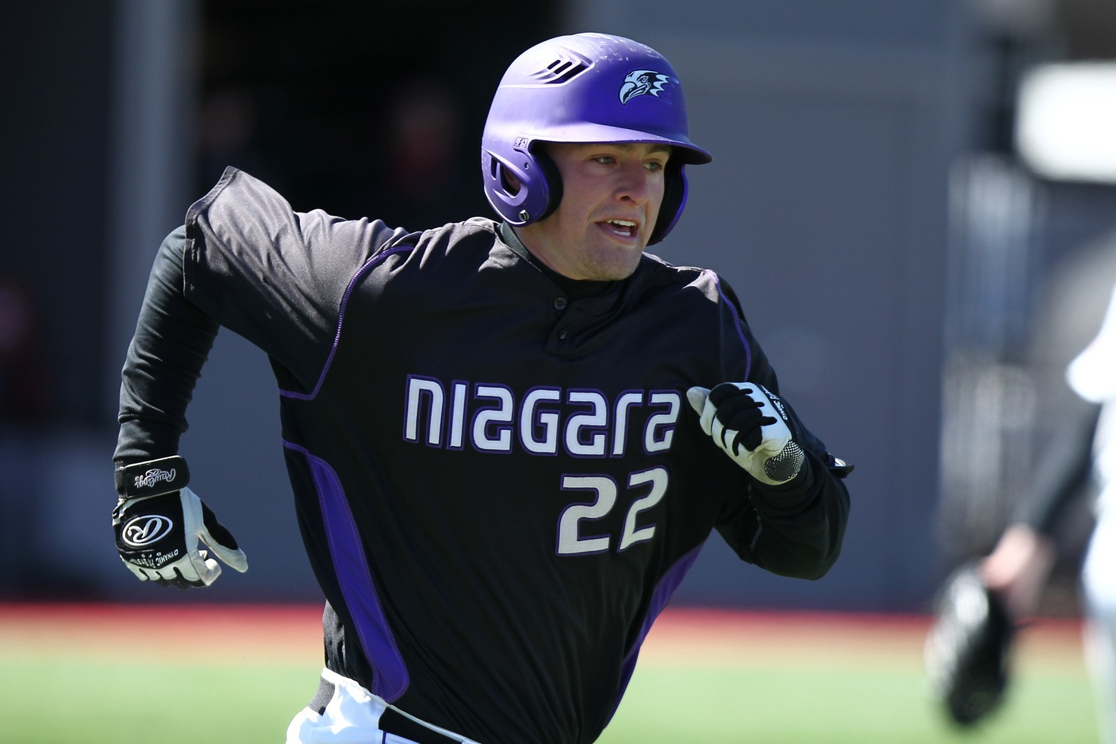 Joel Klock - 2014 - Baseball - Niagara University Athletics