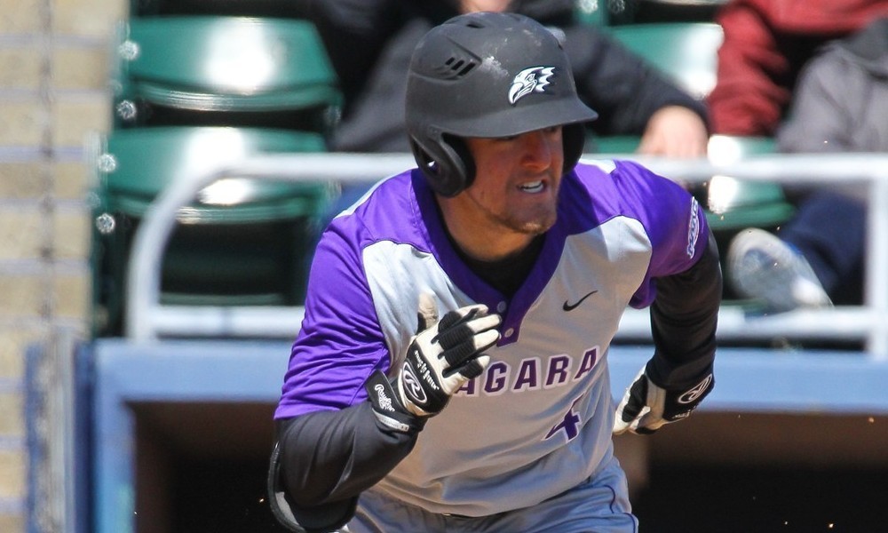 Taylor Hackett - 2016 - Baseball - Niagara University Athletics