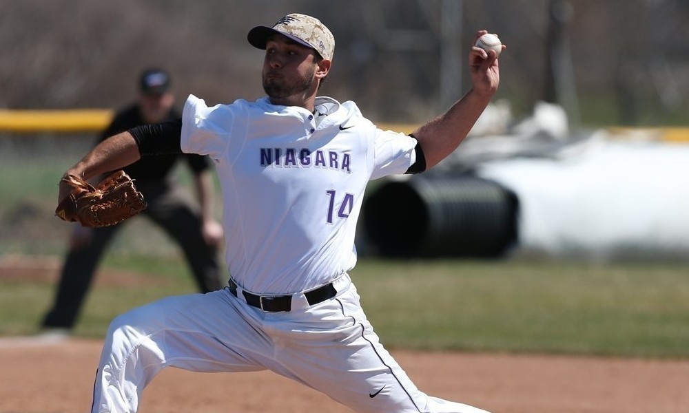 Michael Bucci - 2017 - Baseball - Niagara University Athletics
