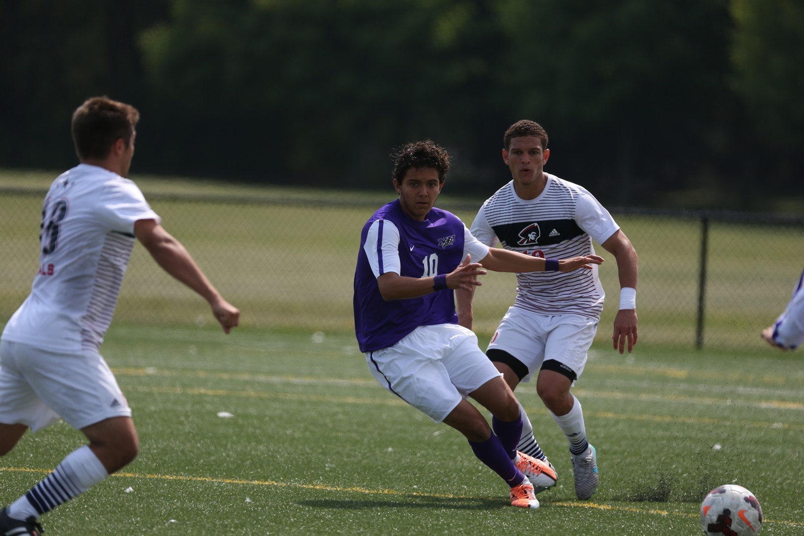 Hector Solorio Villalpando - 2018-19 - Men's Soccer - Niagara ...