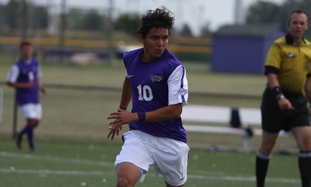 Hector Solorio Villalpando - 2018-19 - Men's Soccer - Niagara ...