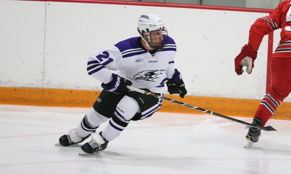 TJ Sarcona - 2016-17 - Men's Ice Hockey - Niagara University Athletics