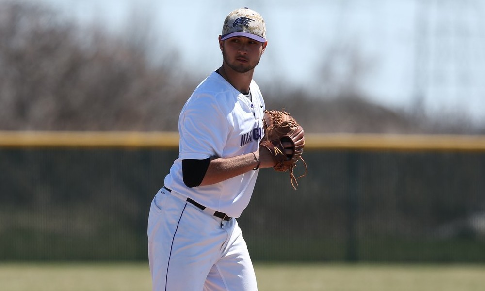 Michael Bucci - 2017 - Baseball - Niagara University Athletics