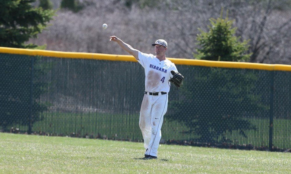 Taylor Hackett - 2016 - Baseball - Niagara University Athletics