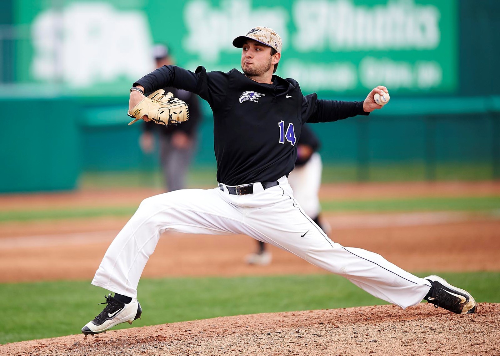 Michael Bucci - 2017 - Baseball - Niagara University Athletics