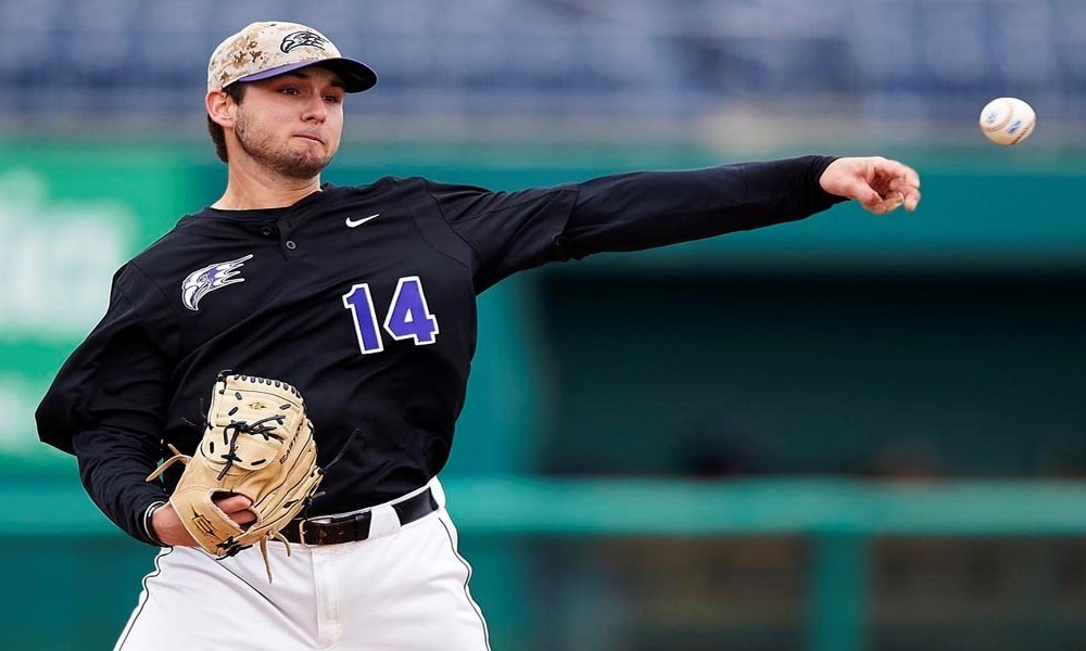 Michael Bucci - 2017 - Baseball - Niagara University Athletics