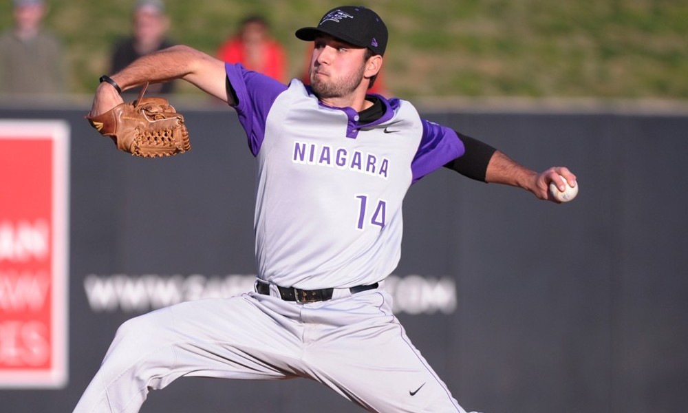 Michael Bucci - 2017 - Baseball - Niagara University Athletics