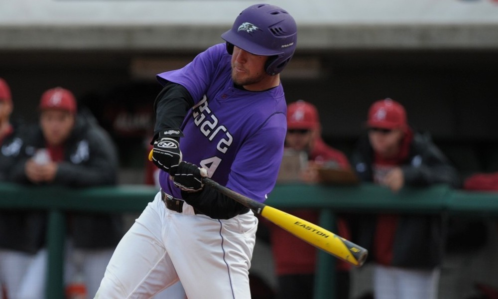 Taylor Hackett - 2016 - Baseball - Niagara University Athletics