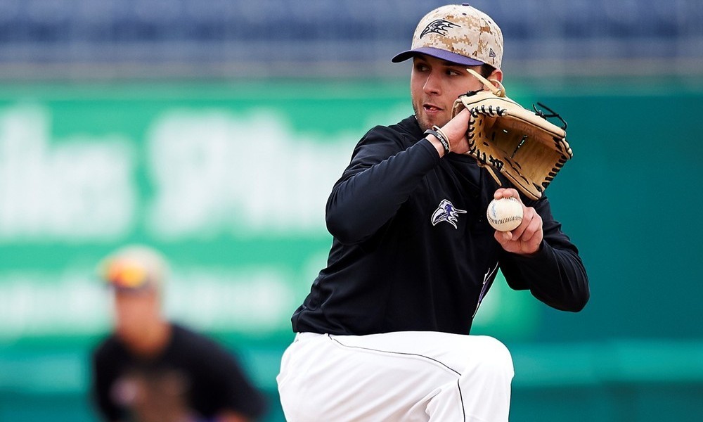 Michael Bucci - 2017 - Baseball - Niagara University Athletics