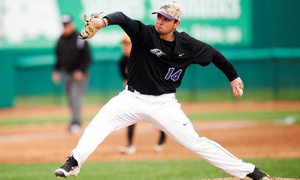 Michael Bucci - 2017 - Baseball - Niagara University Athletics