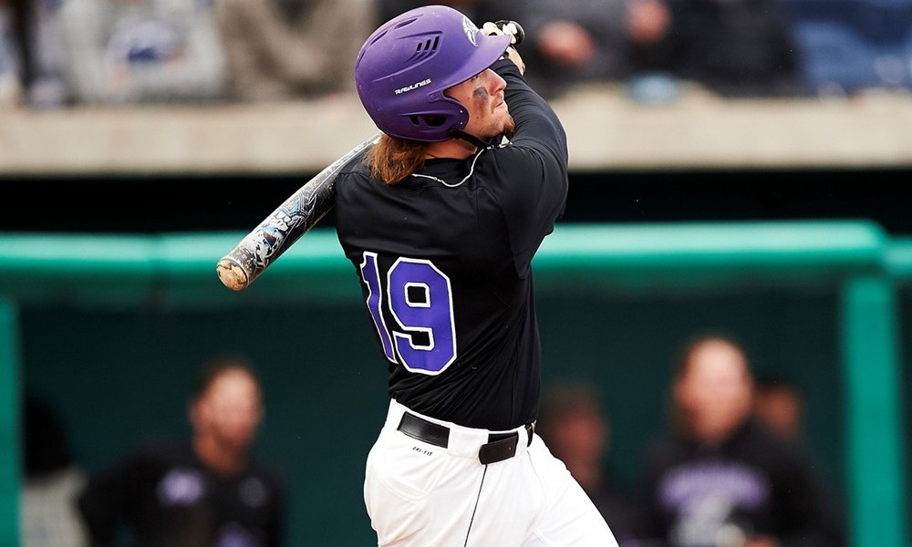 Michael Fuhrman - 2016 - Baseball - Niagara University Athletics