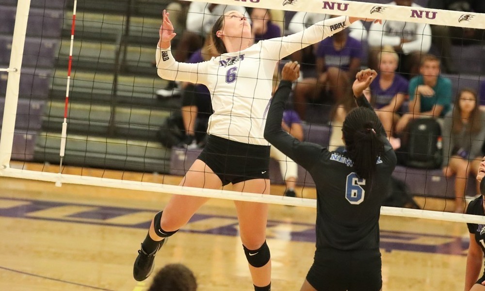 Madison May - 2017 - Women's Volleyball - Niagara University Athletics